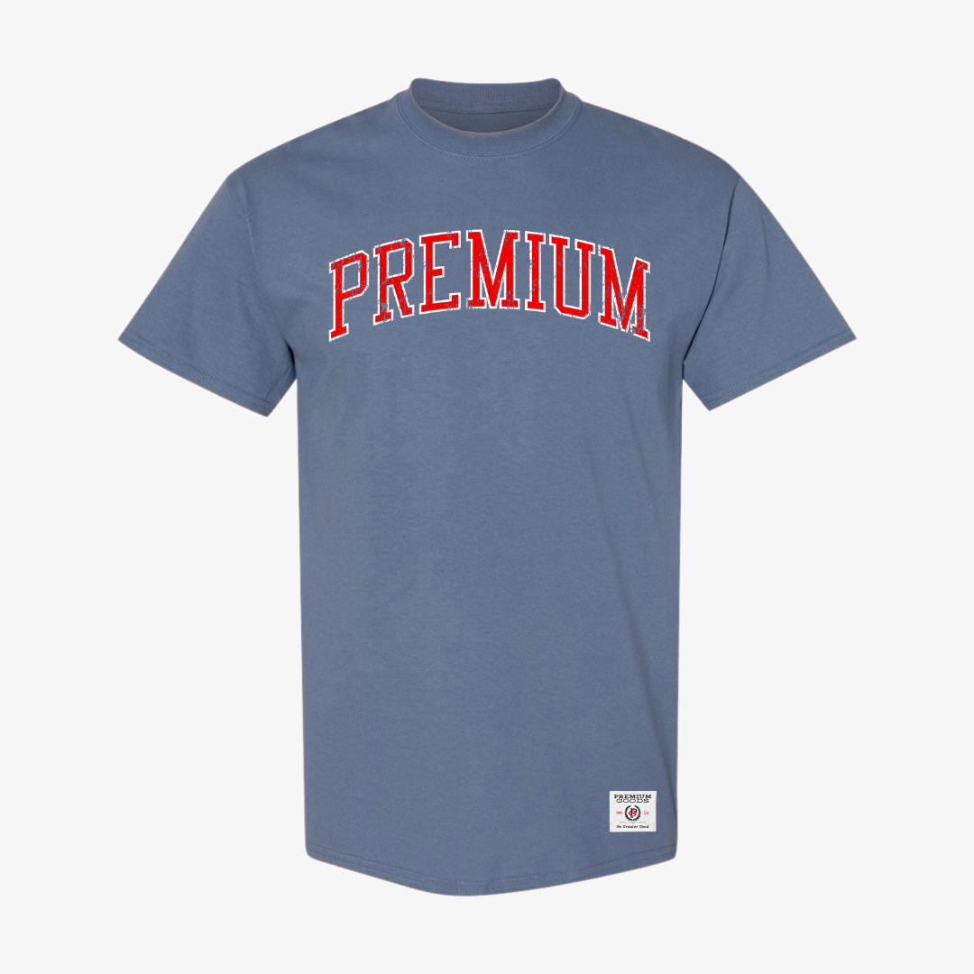 mens premiumgoods. arch logo s/s tee (vintage slate) – Premium Goods